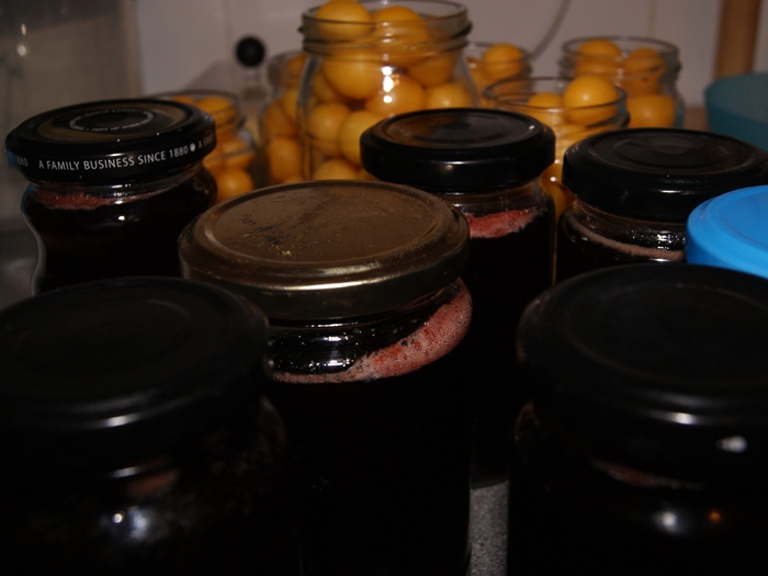 Foraging for Jam | The Jabberwocky Soliloquy